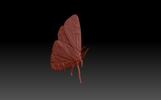 Moth 3D Print Model in Other 3DExport