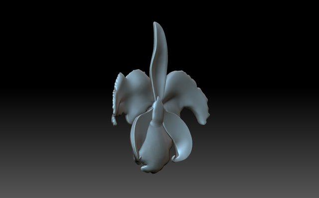 Flower 3D Print Model in Pendants 3DExport