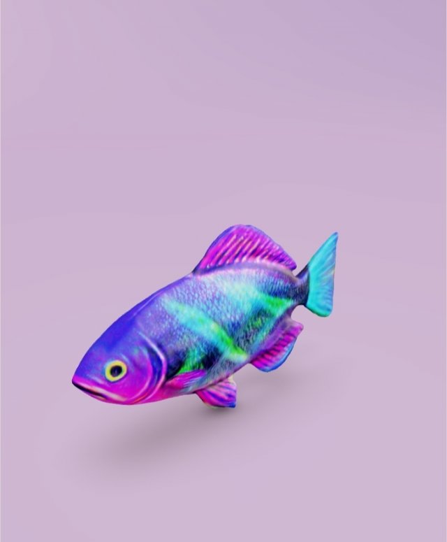 3D Fish Free 3D Model in Fish 3DExport
