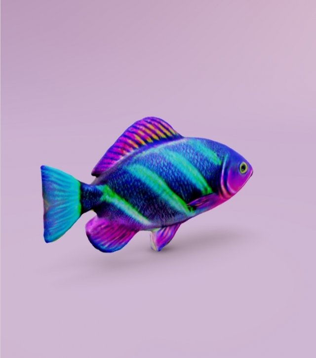 3D Fish Free 3D Model in Fish 3DExport