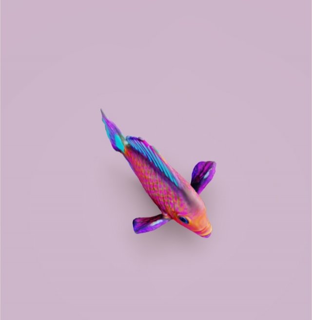 Tropical Fish Free 3D Model in Fish 3DExport