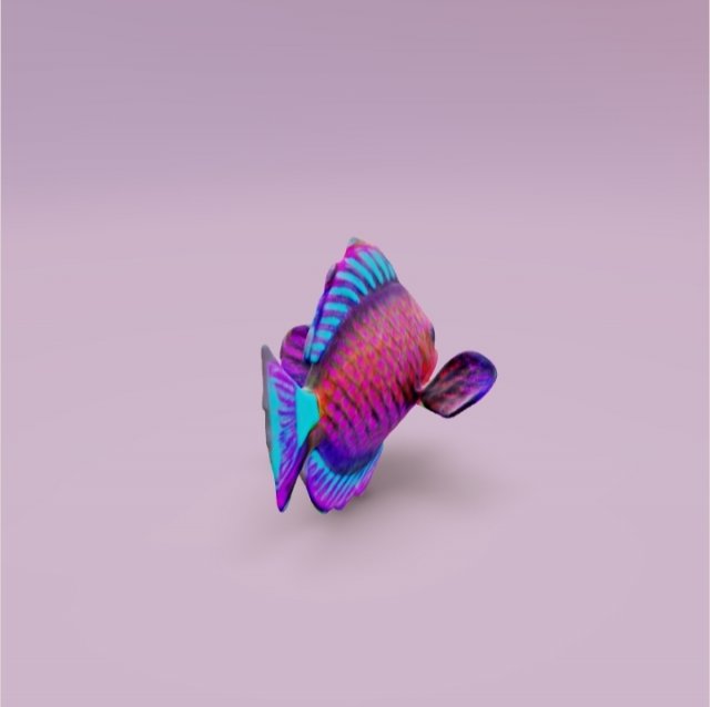 Tropical Fish Free 3D Model in Fish 3DExport