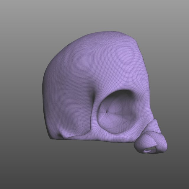 Nose Anatomy 3D Model in Anatomy 3DExport
