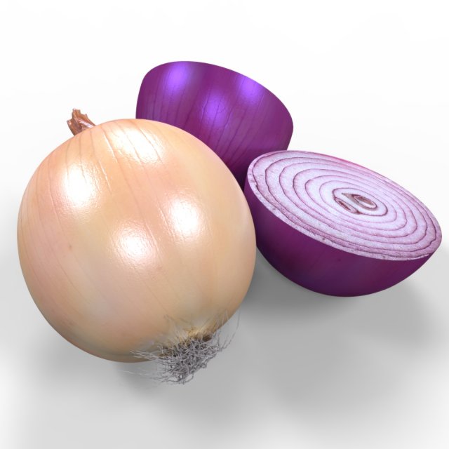 Onion 3D Model in Vegetable 3DExport