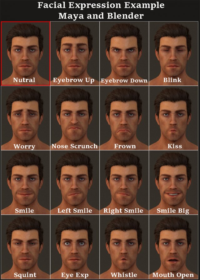 Male Base Complete Rig 3D Model in Man 3DExport