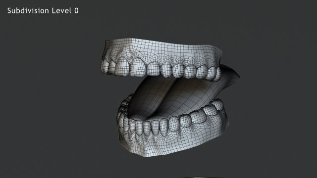 Male Base Complete Rig 3D Model in Man 3DExport