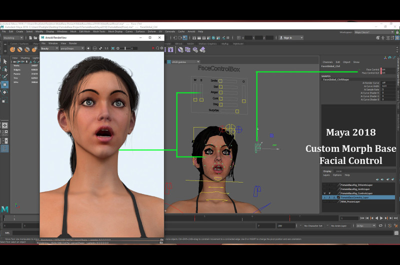 Female Base Rig 3D Model in Kadın 3DExport