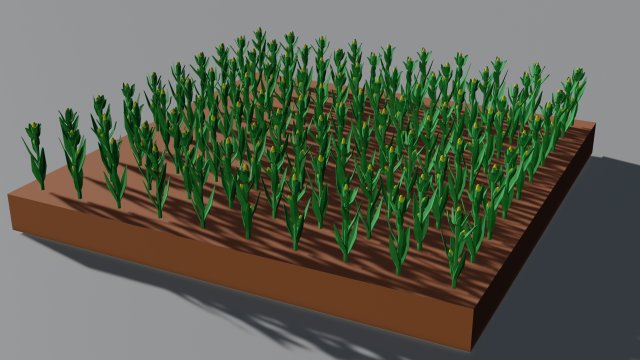 Corn field isometric 3D Model in Small Plants 3DExport
