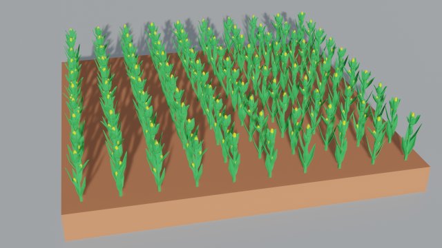 Corn field isometric 3D Model in Small Plants 3DExport