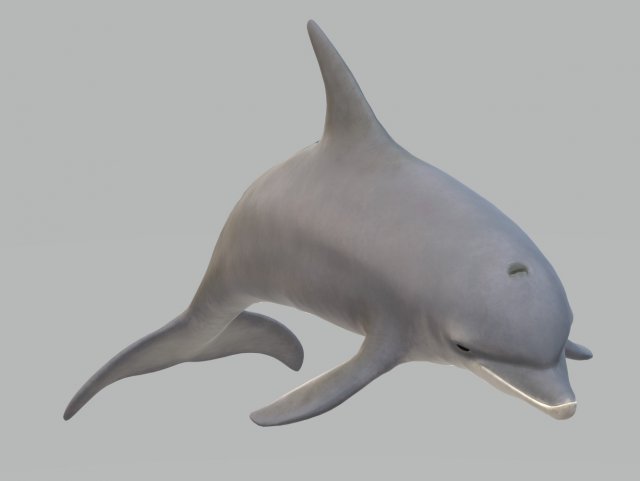 Dolphin Sculptures Ready to Print 3D Print Model in Animals 3DExport
