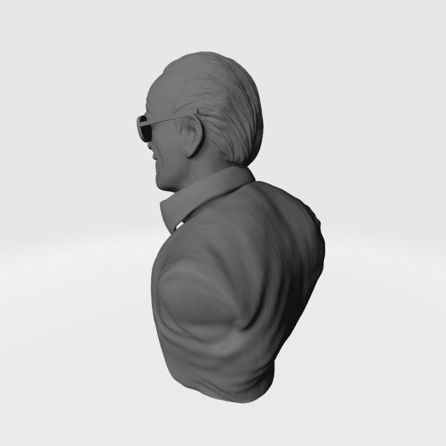 Stan Lee Bust Ready to Print 3D Print Model in Man 3DExport