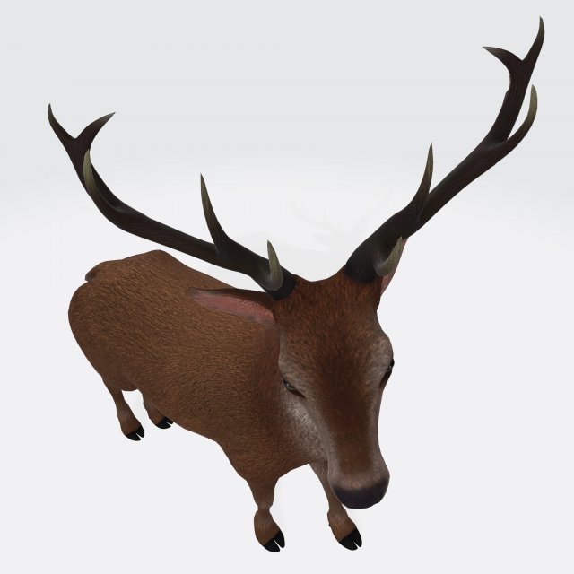 Reindeer Ready to Print 3D Print Model in Sculpture 3DExport