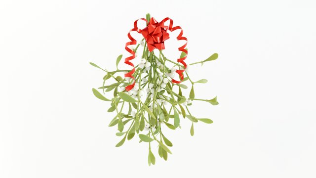Mistletoe Bunch 3D Model in Small Plants 3DExport