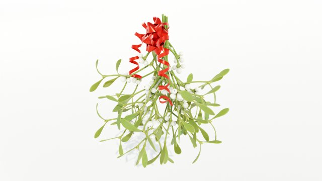 Mistletoe Bunch 3D Model in Small Plants 3DExport