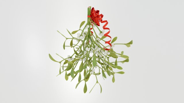Mistletoe Bunch 3D Model in Small Plants 3DExport