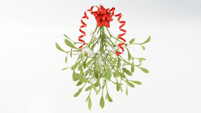 Mistletoe Bunch 3D Model in Small Plants 3DExport