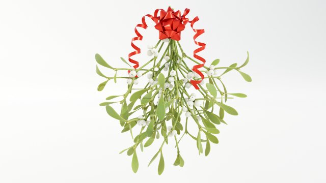 Mistletoe Bunch 3D Model in Small Plants 3DExport