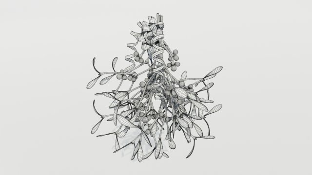Mistletoe Bunch 3D Model in Small Plants 3DExport