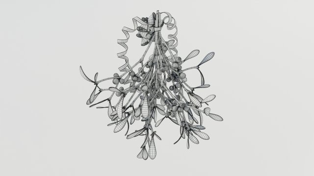 Mistletoe Bunch 3D Model in Small Plants 3DExport