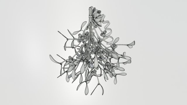 Mistletoe Bunch 3D Model in Small Plants 3DExport
