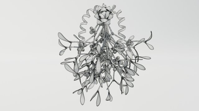 Mistletoe Bunch 3D Model in Small Plants 3DExport
