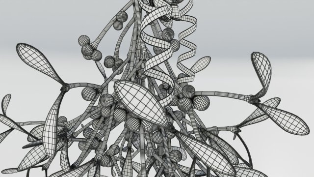 Mistletoe Bunch 3D Model in Small Plants 3DExport