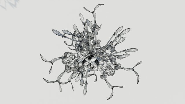 Mistletoe Bunch 3D Model in Small Plants 3DExport
