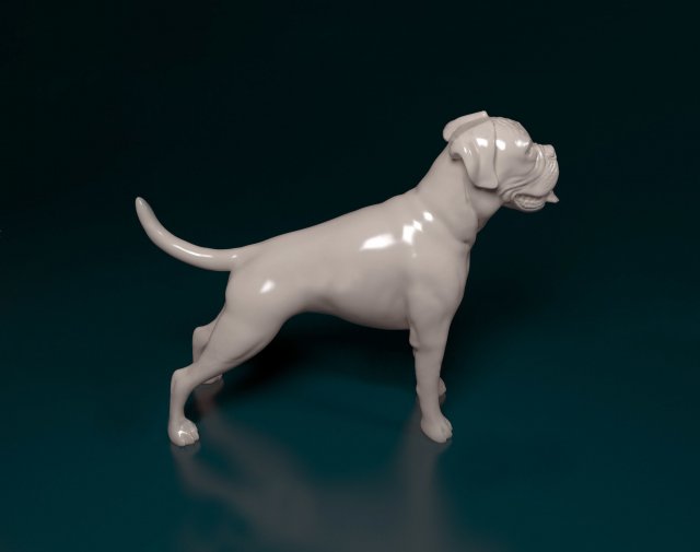 Boxer 3D Print Model in Figurines 3DExport