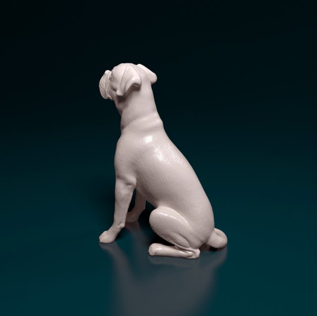 Boxer dog sitting 3D Print Model in Figurines 3DExport
