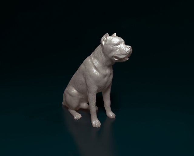 Cane Corso sitting 3D Print Model in Figurines 3DExport