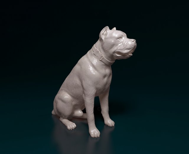 Cane Corso sitting 3D Print Model in Figurines 3DExport