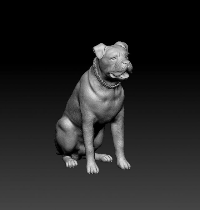 Cane Corso sitting 3D Print Model in Figurines 3DExport