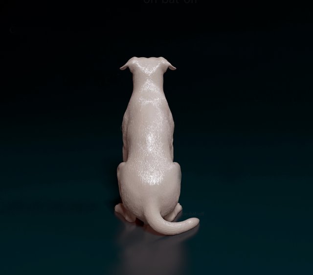 American Bulldog 3D Print Model in Figurines 3DExport