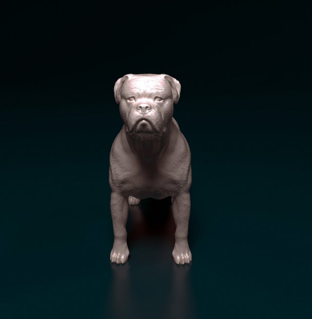 American Bulldog standing 3D Print Model in Figurines 3DExport