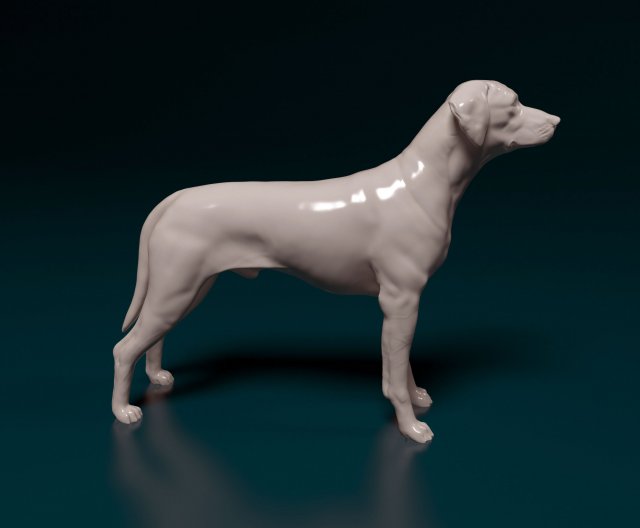 Rhodesian Ridgeback 3D Print Model in Figurines 3DExport
