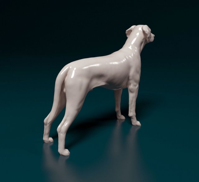 Rhodesian Ridgeback 3D Print Model in Figurines 3DExport