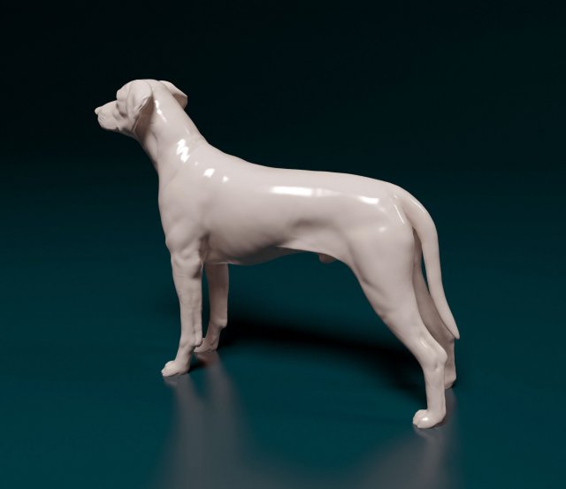 Rhodesian Ridgeback 3D Print Model in Figurines 3DExport