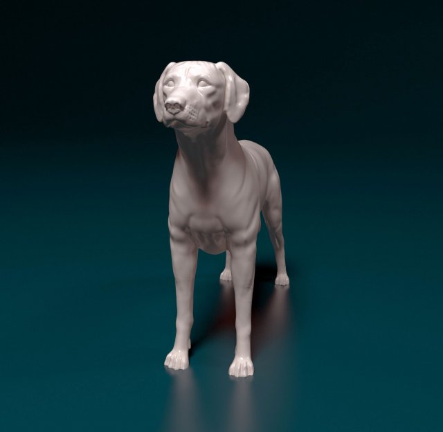 Rhodesian Ridgeback 3D Print Model in Figurines 3DExport