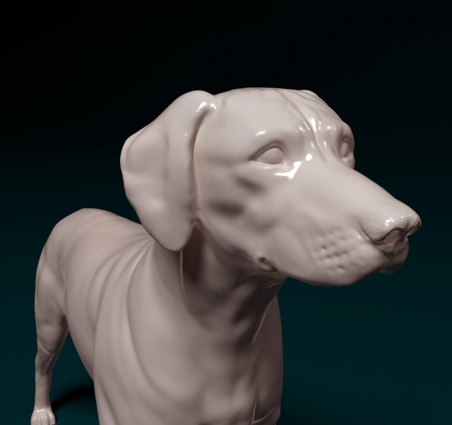 Rhodesian Ridgeback 3D Print Model in Figurines 3DExport