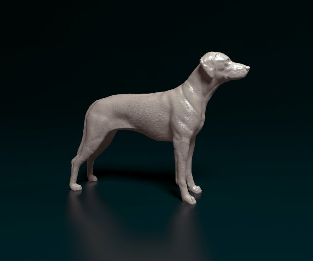 Rhodesian Ridgeback 3D Print Model in Figurines 3DExport