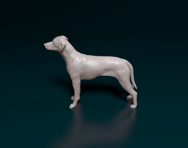 Rhodesian Ridgeback 3D Print Model in Figurines 3DExport