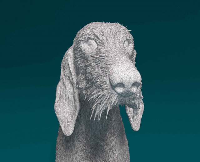 Rough-haired Segugio 3D Print Model in Figurines 3DExport