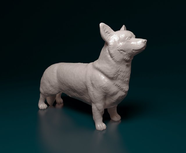 Welsh Corgi Pembroke 3D Print Model in Figurines 3DExport
