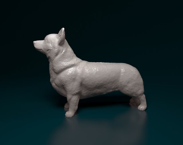 Welsh Corgi Pembroke 3D Print Model in Figurines 3DExport