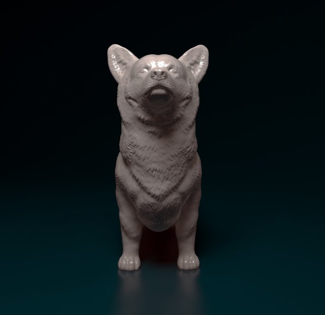 Welsh Corgi Pembroke 3D Print Model in Figurines 3DExport