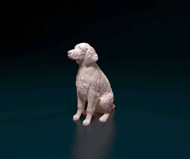 Welsh Springer spaniel 3D Print Model in Figurines 3DExport