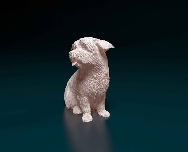 Maltese 3D Print Model in Figurines 3DExport