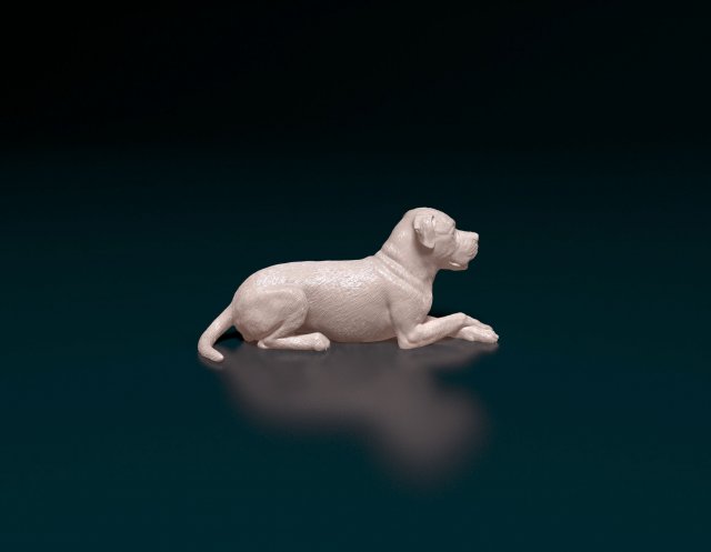 American Bulldog 05 3D Print Model in Figurines 3DExport