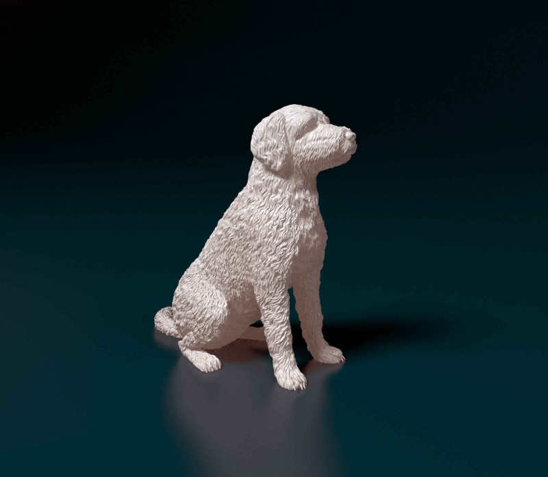 LabraDoodle 3D Print Model in Figurines 3DExport