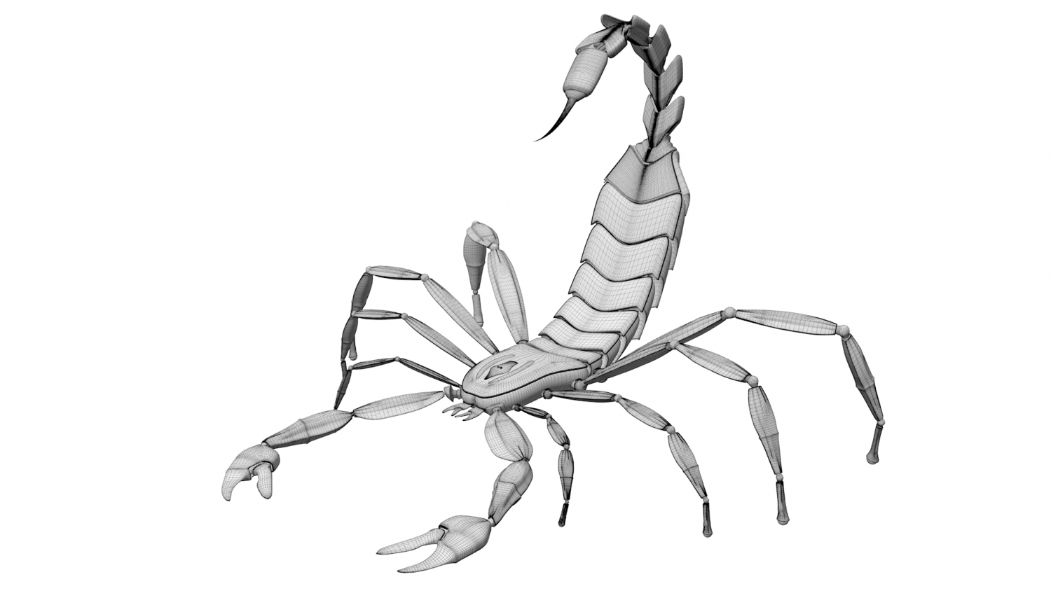 Scorpio 3D Model in Other 3DExport